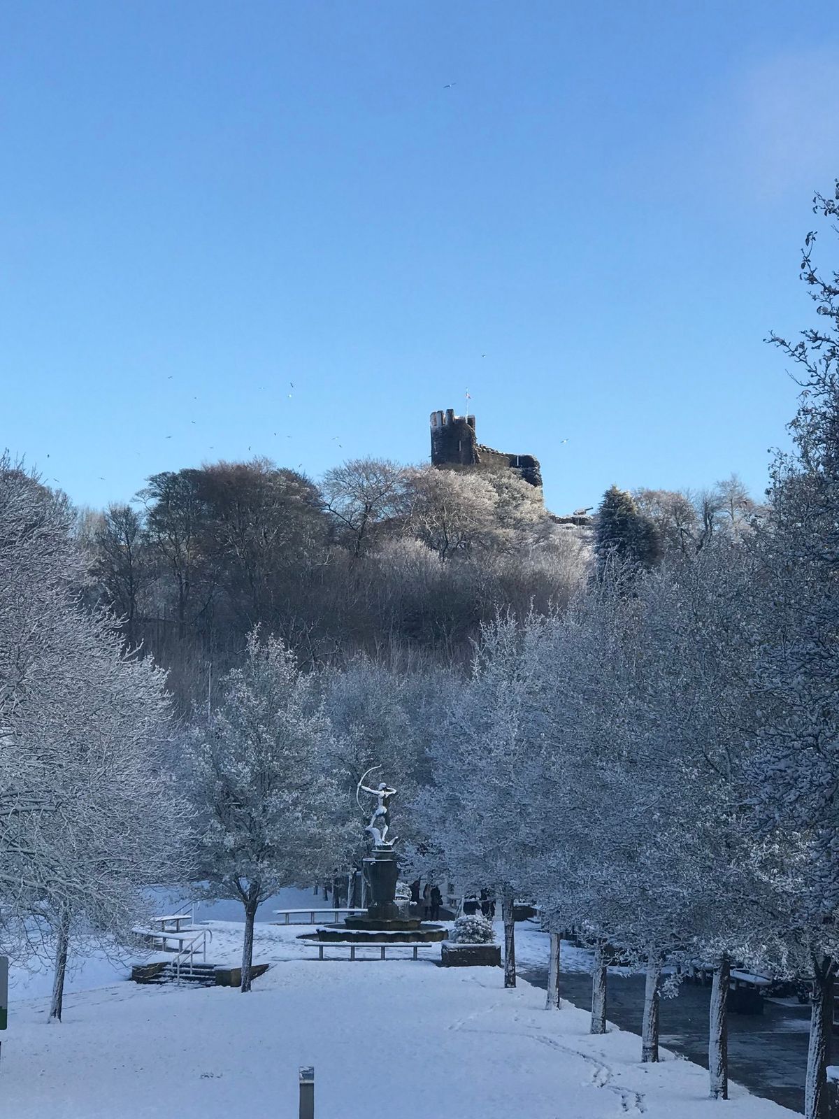 IN PICTURES: Snow covers the West Midlands | Express & Star