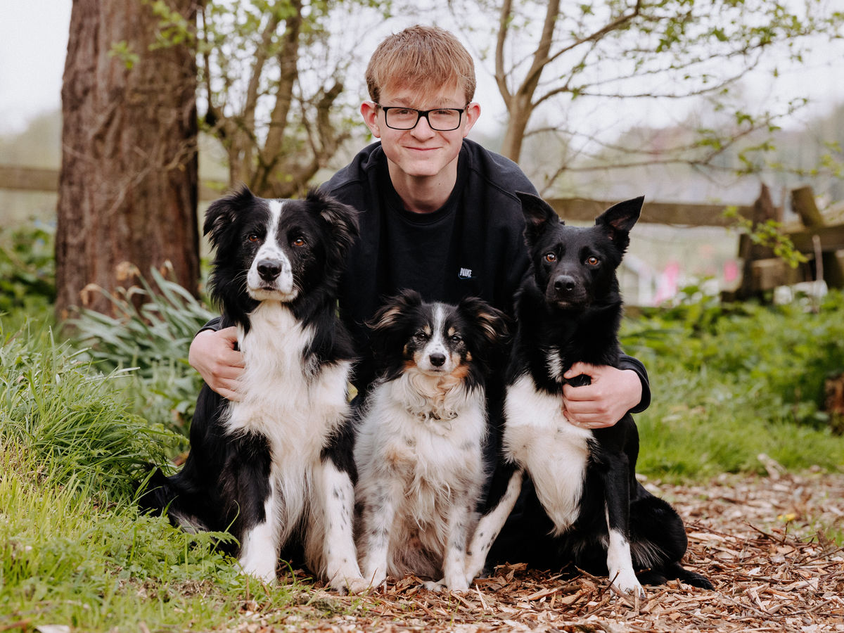 Max and his canine pals ready to take on the world | Shropshire Star