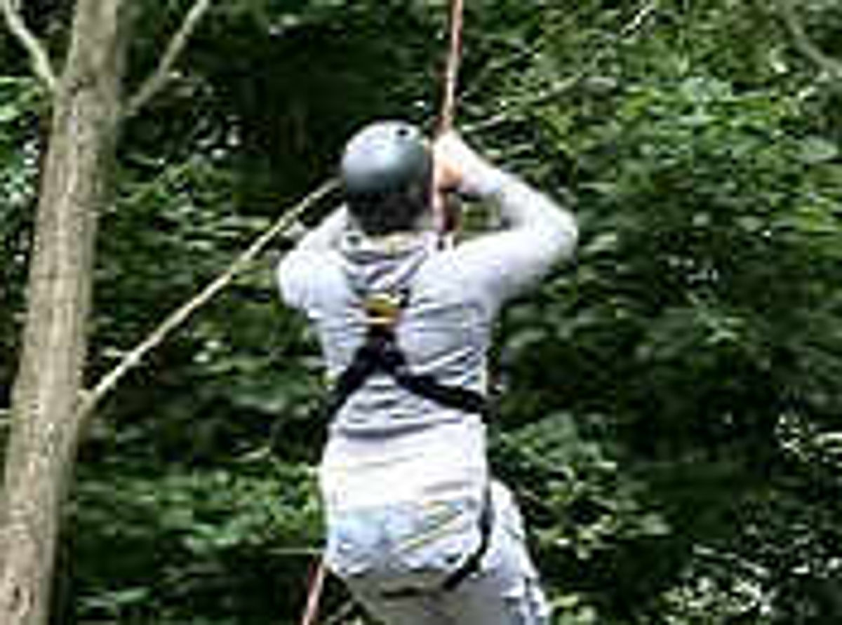 Reaching new heights at Baggeridge Park | Express & Star