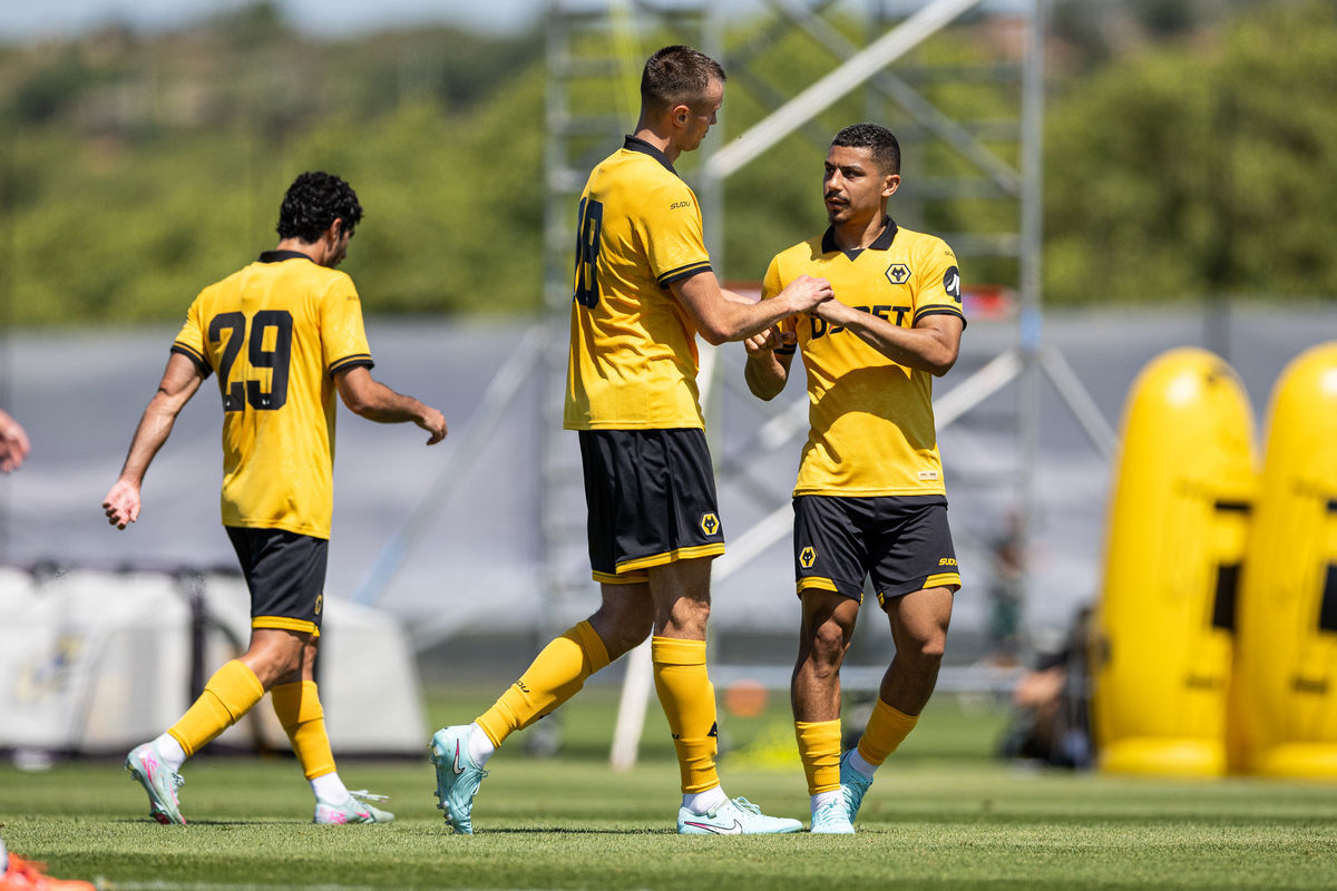 Austrian international determined to make Wolves impact | Shropshire Star