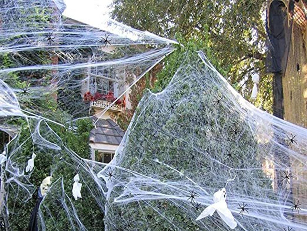 Black Country residents warned fake spider webs can kill wildlife this ...