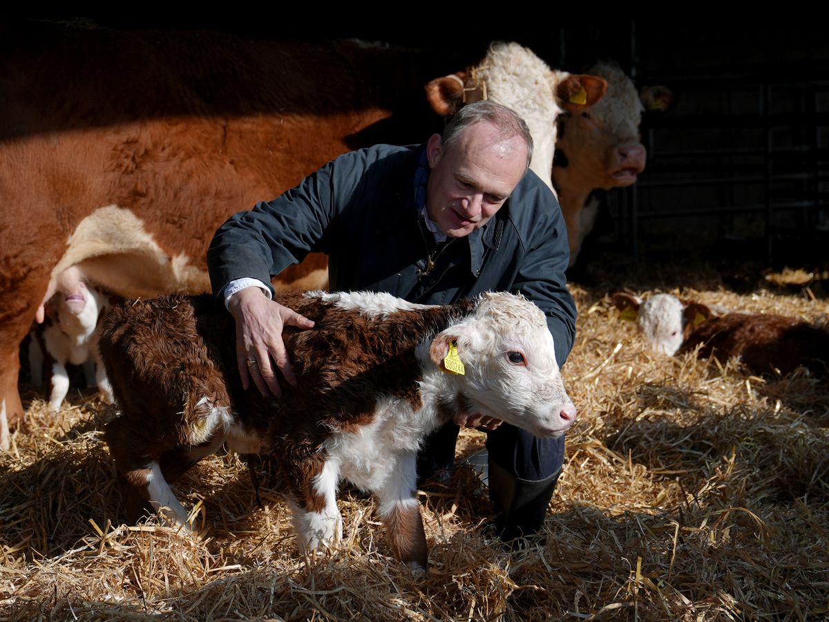 Davey mucks out and handles calves in latest stunt over farm ...