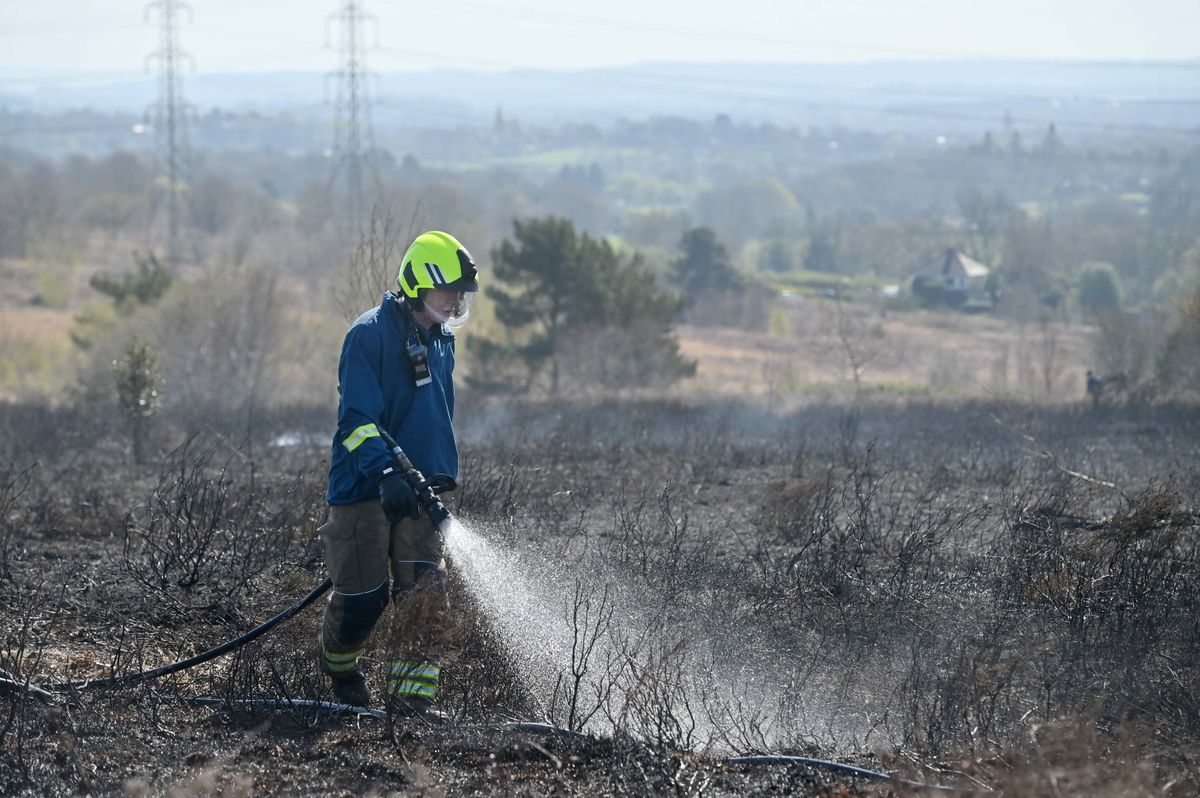 Fire chiefs investigating cause of huge Staffordshire wildfire at Gentleshaw Common as crews ...