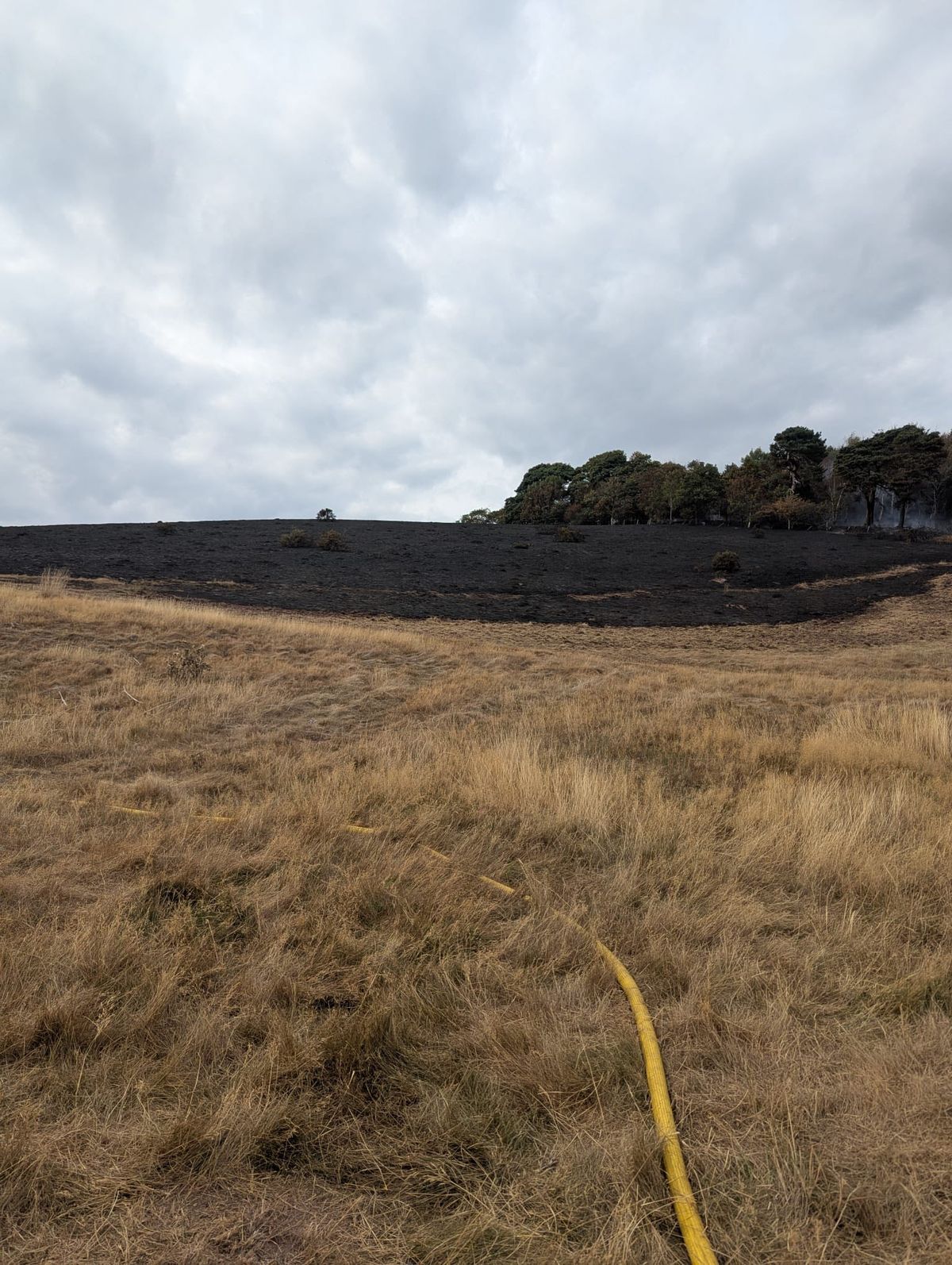Firefighters battle two giant wildfires on frantic day of incidents ...
