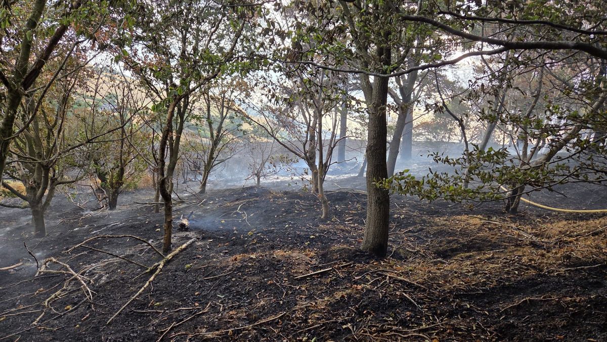 Firefighters battle two giant wildfires on frantic day of incidents ...
