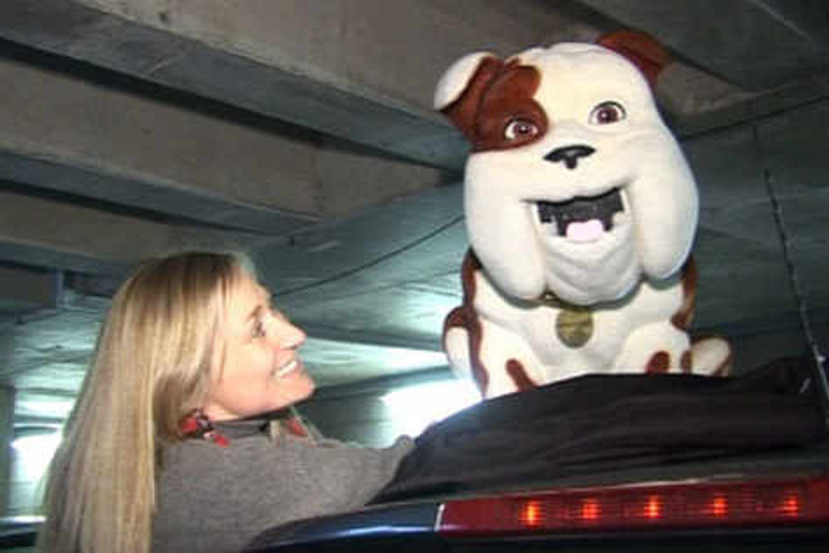 Meet Churchill the panto dog | Express & Star