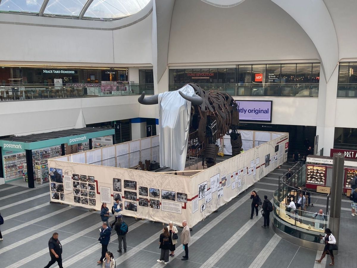 Can you guess what's under the sheet? Ozzy gets ready for grand ...