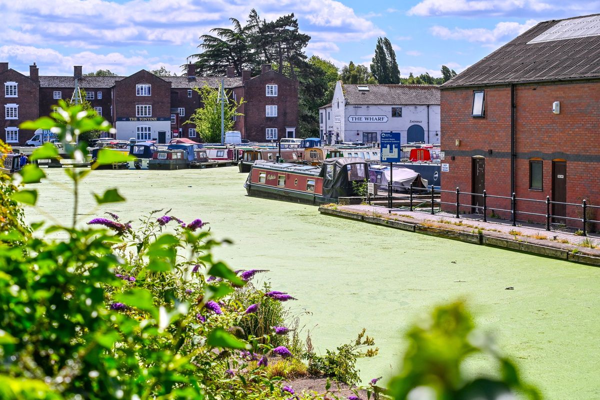 Stourport canal system turns bright green with residents concerned it ...