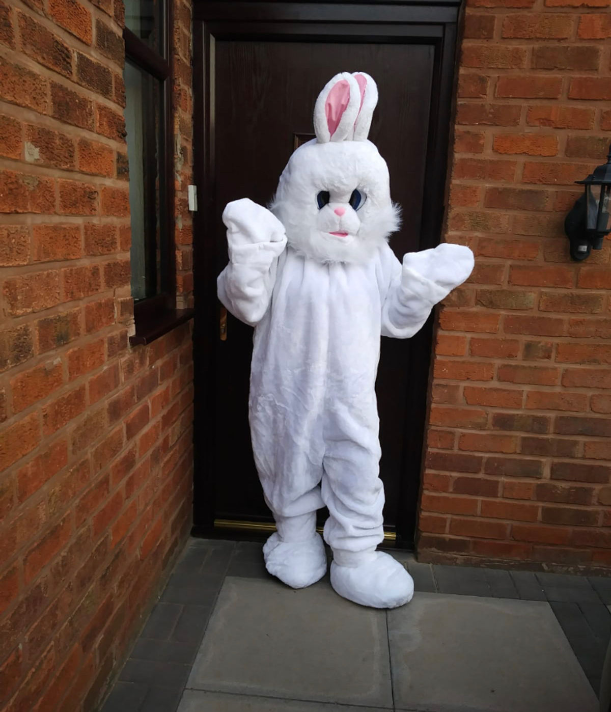 A touch of Easter comes to Walsall | Express & Star