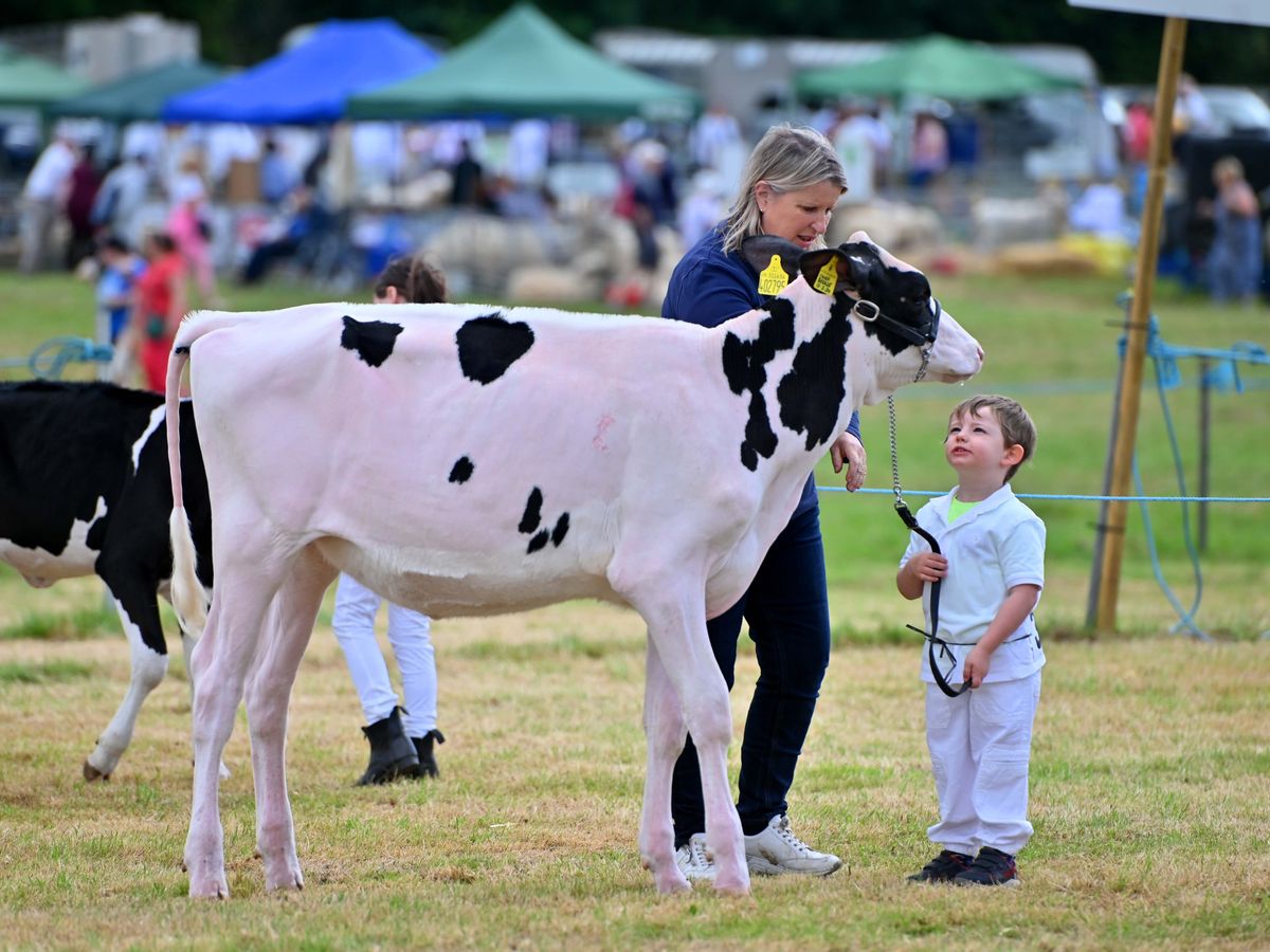 19 fun-filled photos as Oswestry Show returns for 137th year ...