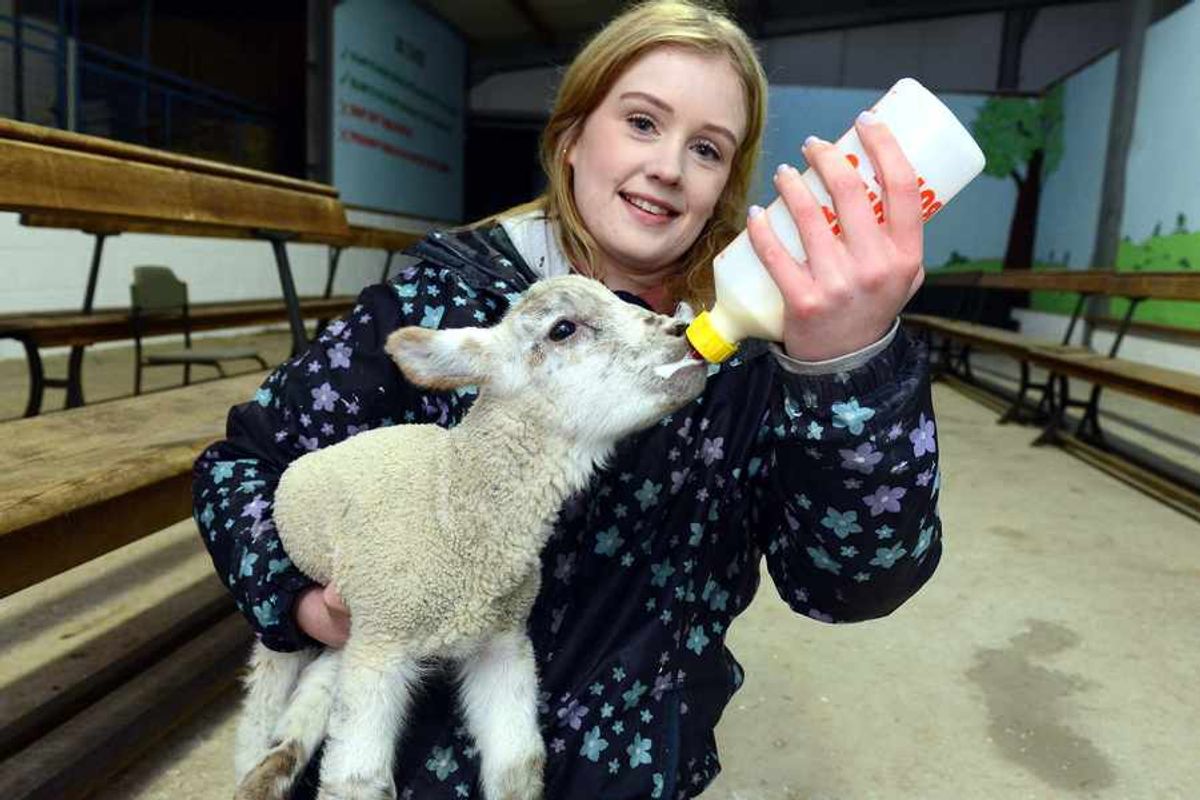 Meet the newest addition to the family | Shropshire Star