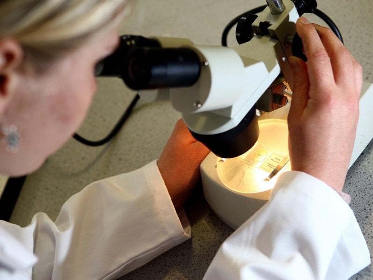 Puffer pill inspired by nature designed to be a sentinel for the ...