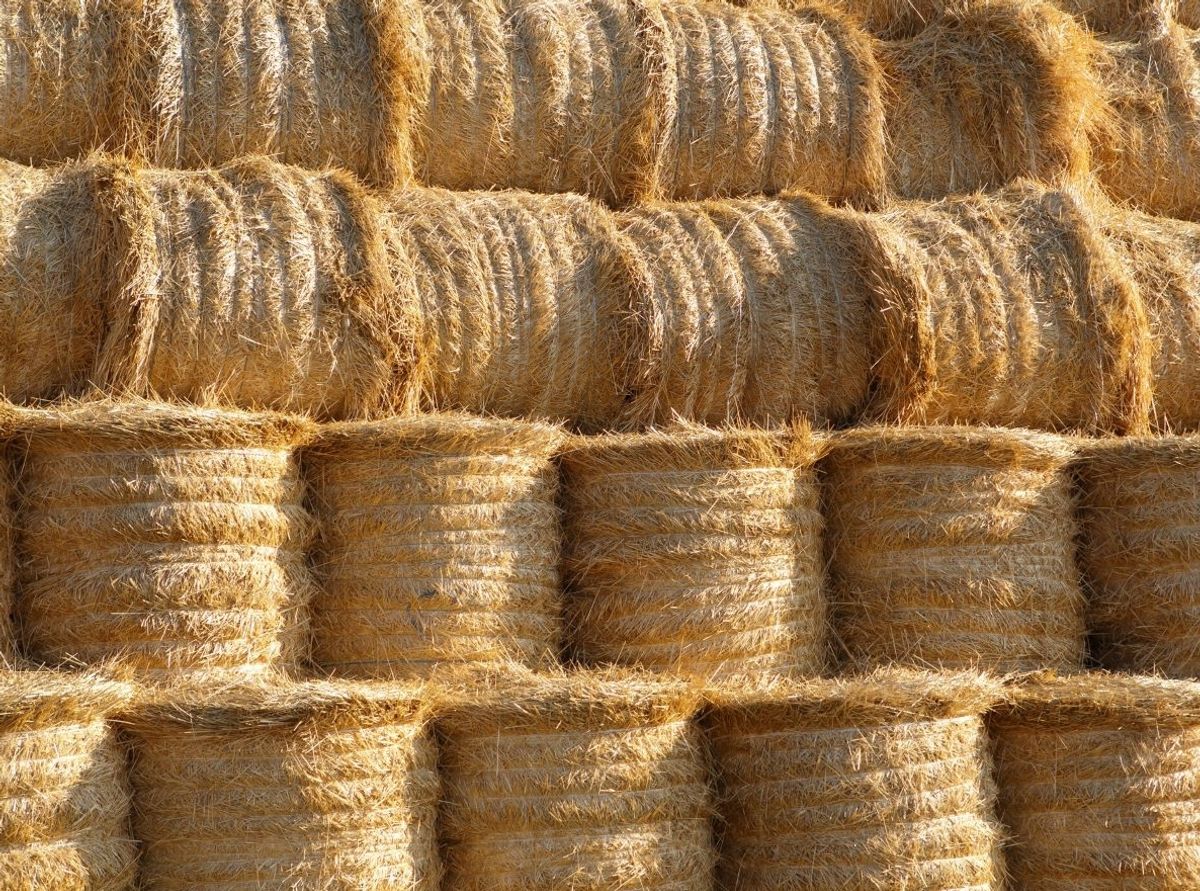 Bale danger warning given to farmers in Shropshire | Shropshire Star