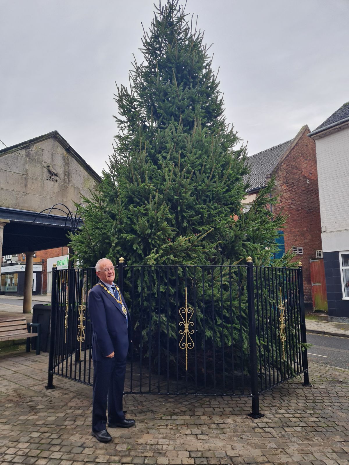 Huge Market Drayton Christmas tree erected ahead of popular Festival of ...