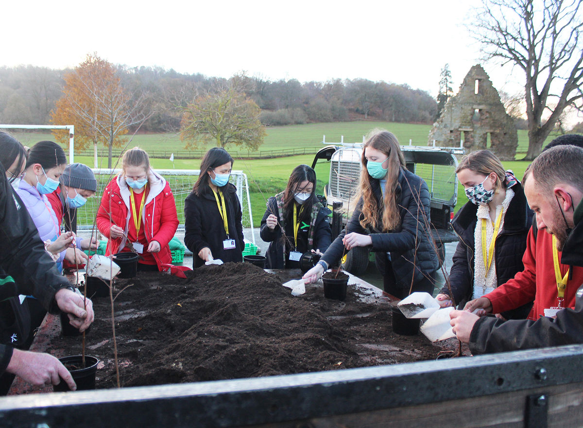 Shropshire college leads mass tree planting scheme | Shropshire Star
