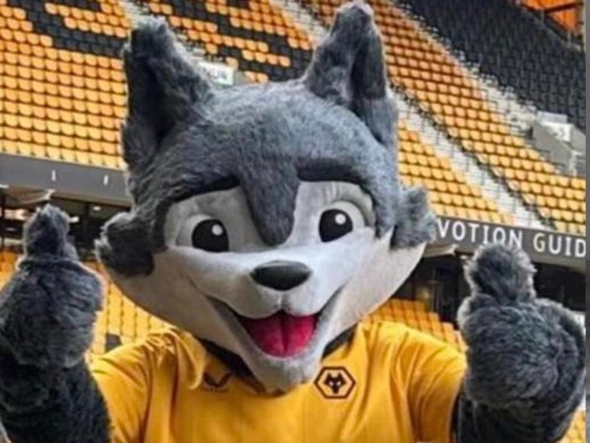 Wolves fans split over new look Wolfie | Express & Star