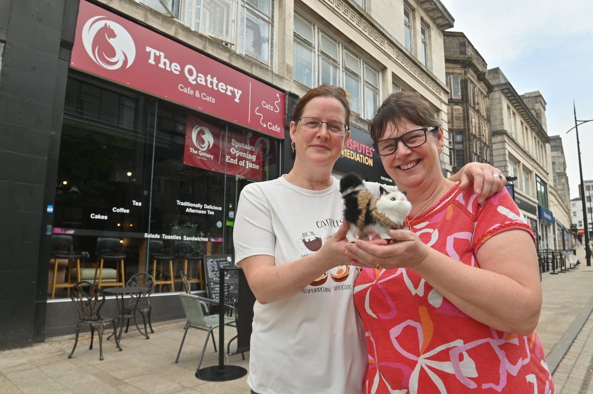 'I'm setting up Wolverhampton's first ever cat cafe after rescuing 19 ...