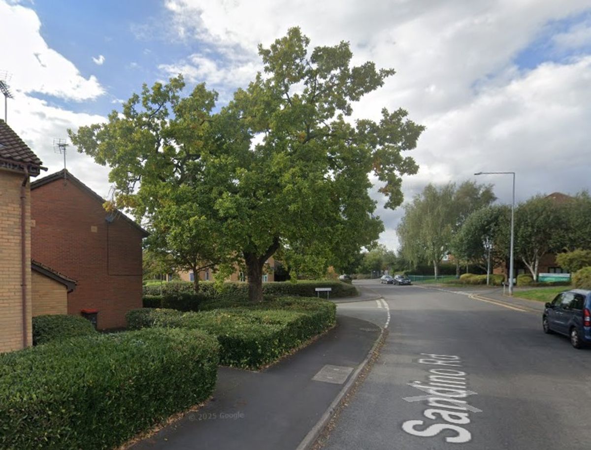 Telford planners refuse plan to chop down oak tree | Shropshire Star