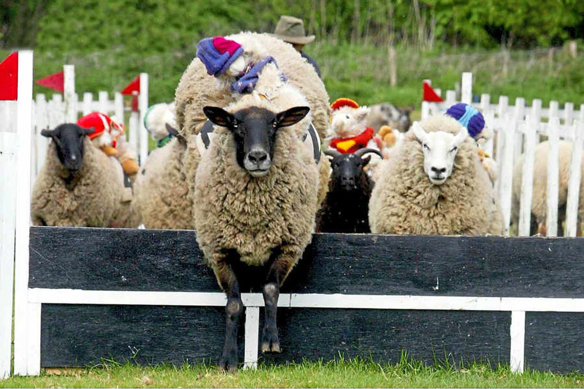 People still flocking to Hoo Farm 25 years on | Shropshire Star