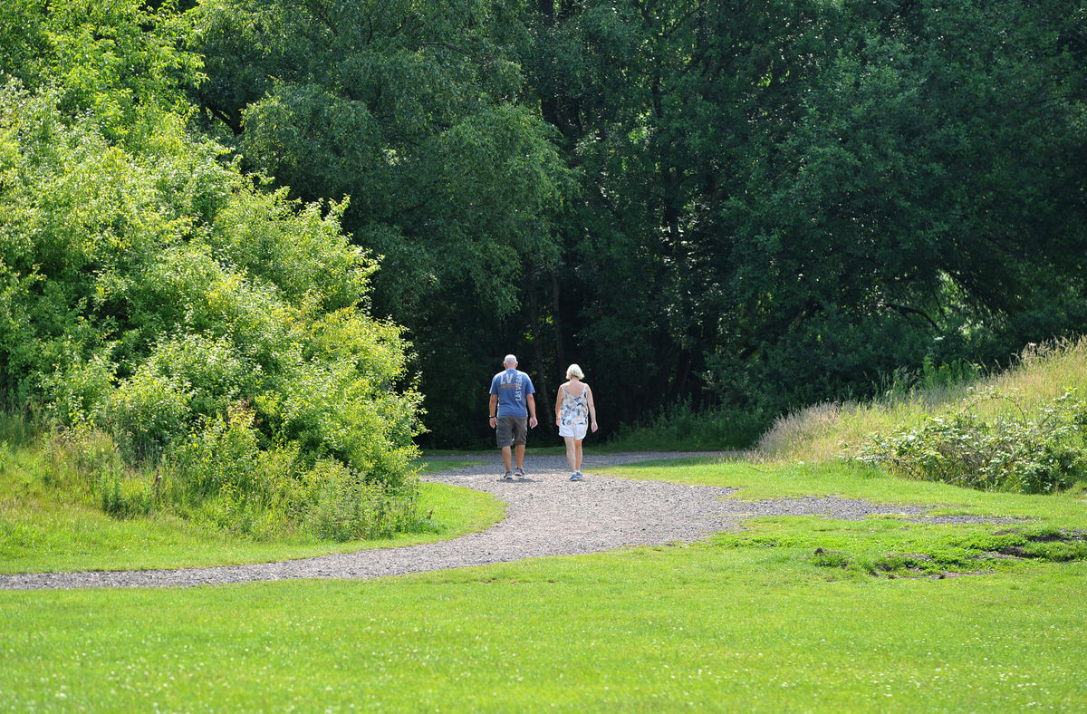 Joy over Green Flag status for region's parks and open spaces | Express ...