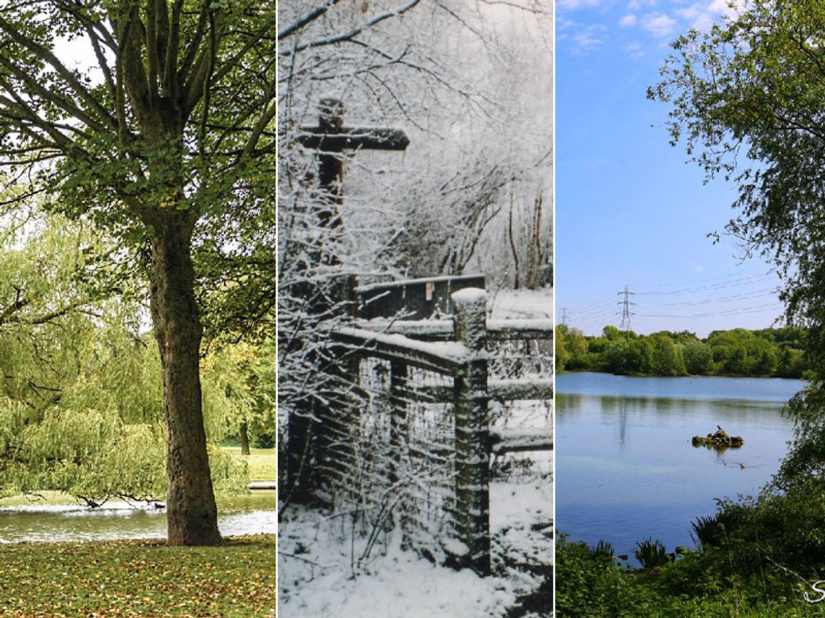 Perfect place to pick best Tipton park picture | Express & Star