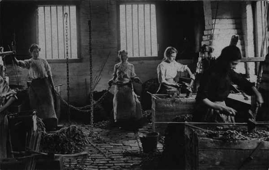 IN PICTURES: Heritage project keeps links to Black Country's ...