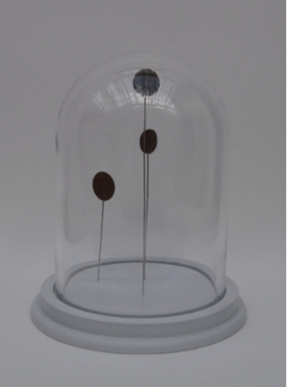 Small rituals, big questions: Artist invites quiet reflection at ...