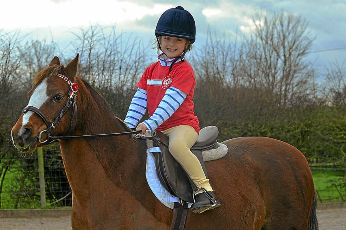 Wem girl saddles up for challenge | Shropshire Star