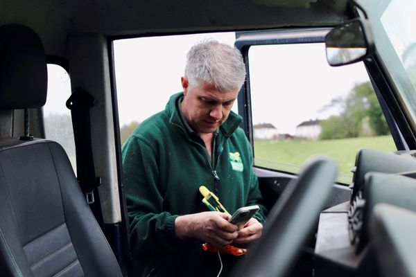 Data management helps streamline Bridgnorth sheep farm | Shropshire Star