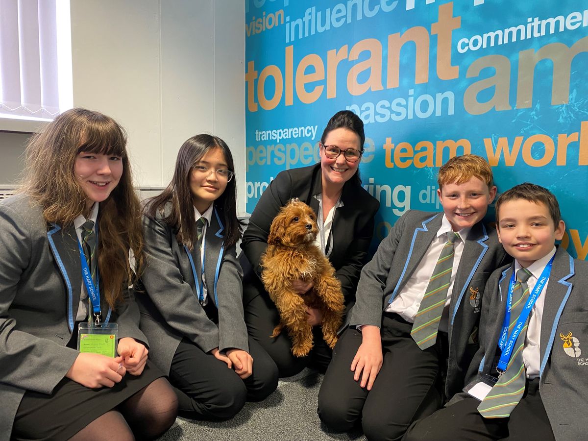 How Rufus, a five-month-old puppy, will be helping pupils at a Rugeley school | Shropshire Star