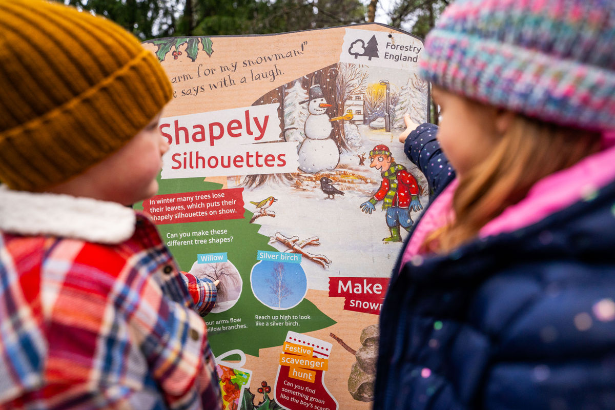 Stick Man brings Christmas magic to Cannock Chase Forest with festive ...