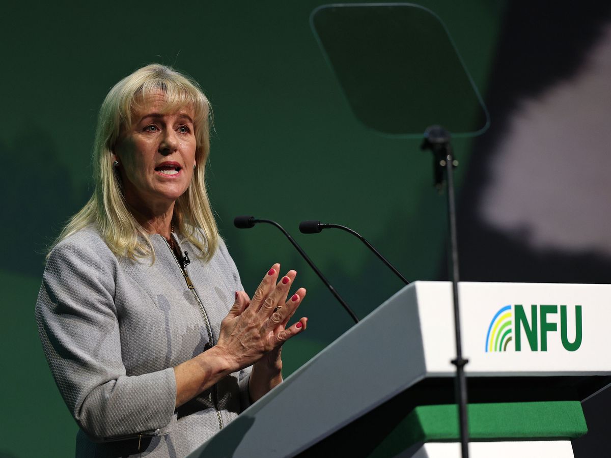 Former head of National Farmers’ Union to head review of farm ...