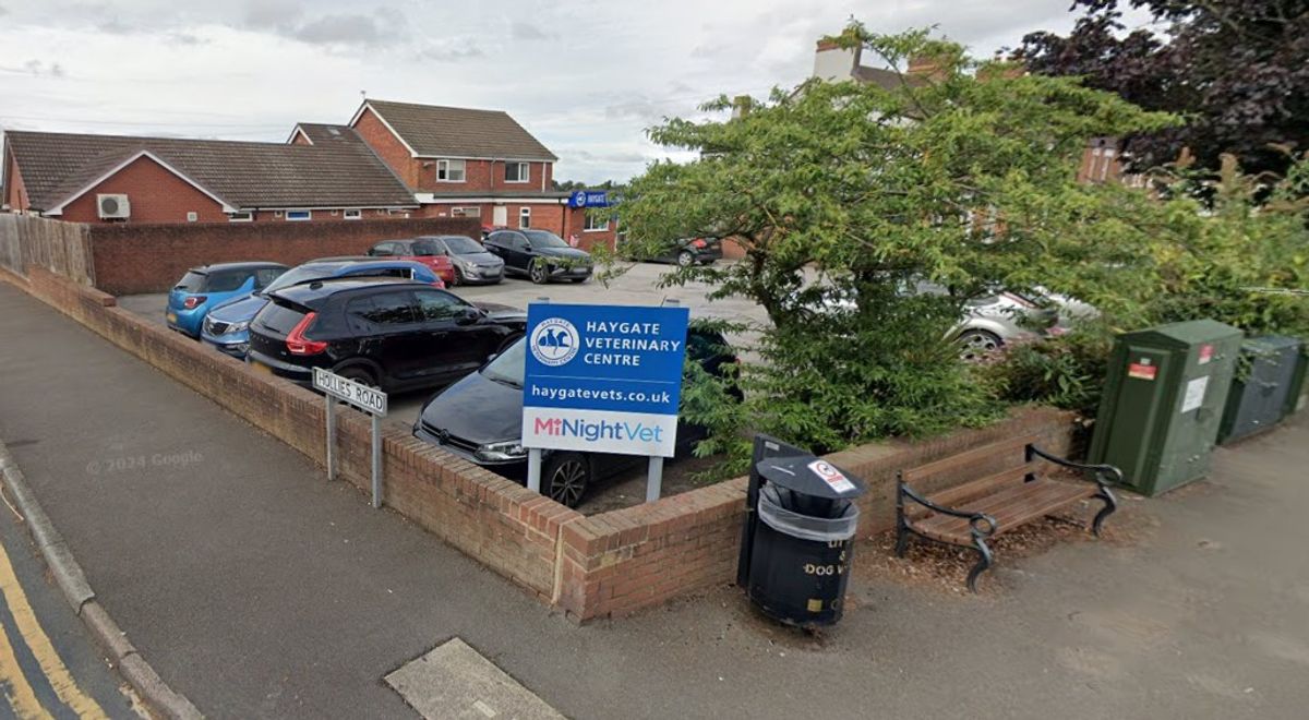 Wellington vet’s extension plan approved despite parking fears ...