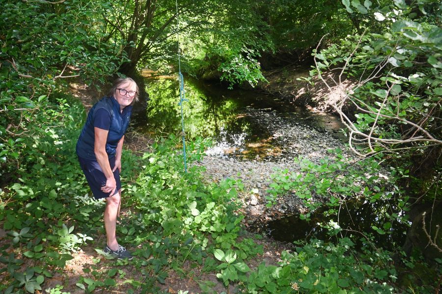 Residents invited to trail featuring eight beautiful gardens in aid of ...