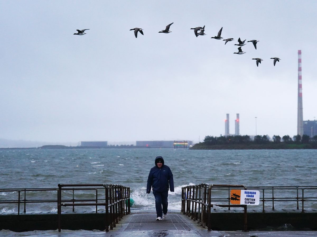 Seven counties under red wind warning as Storm Darragh hits Ireland ...