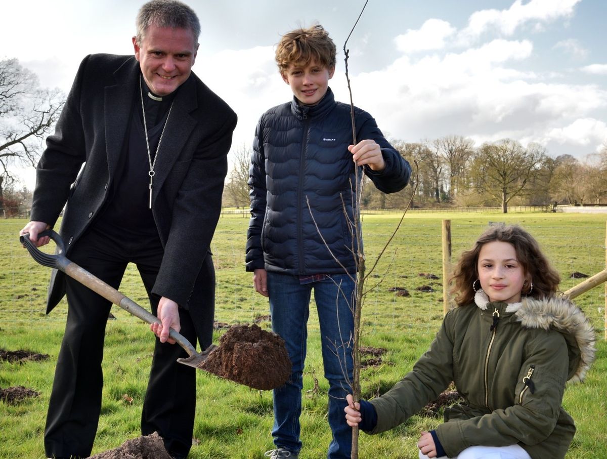 Tree planting continues on country estate | Shropshire Star