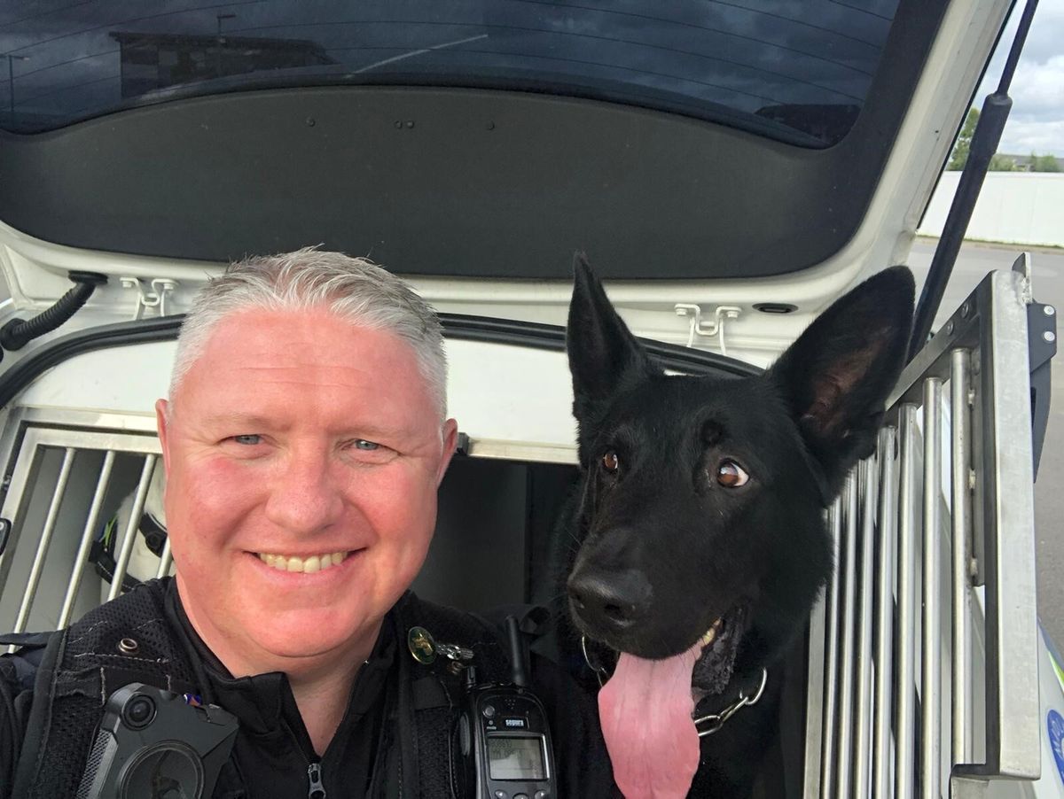 Retired West Midlands Police dog dies at age 10 - the same week his ...