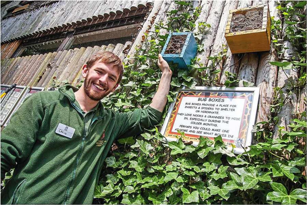 Dudley Zoo officer tells of the importance of conservation | Express & Star