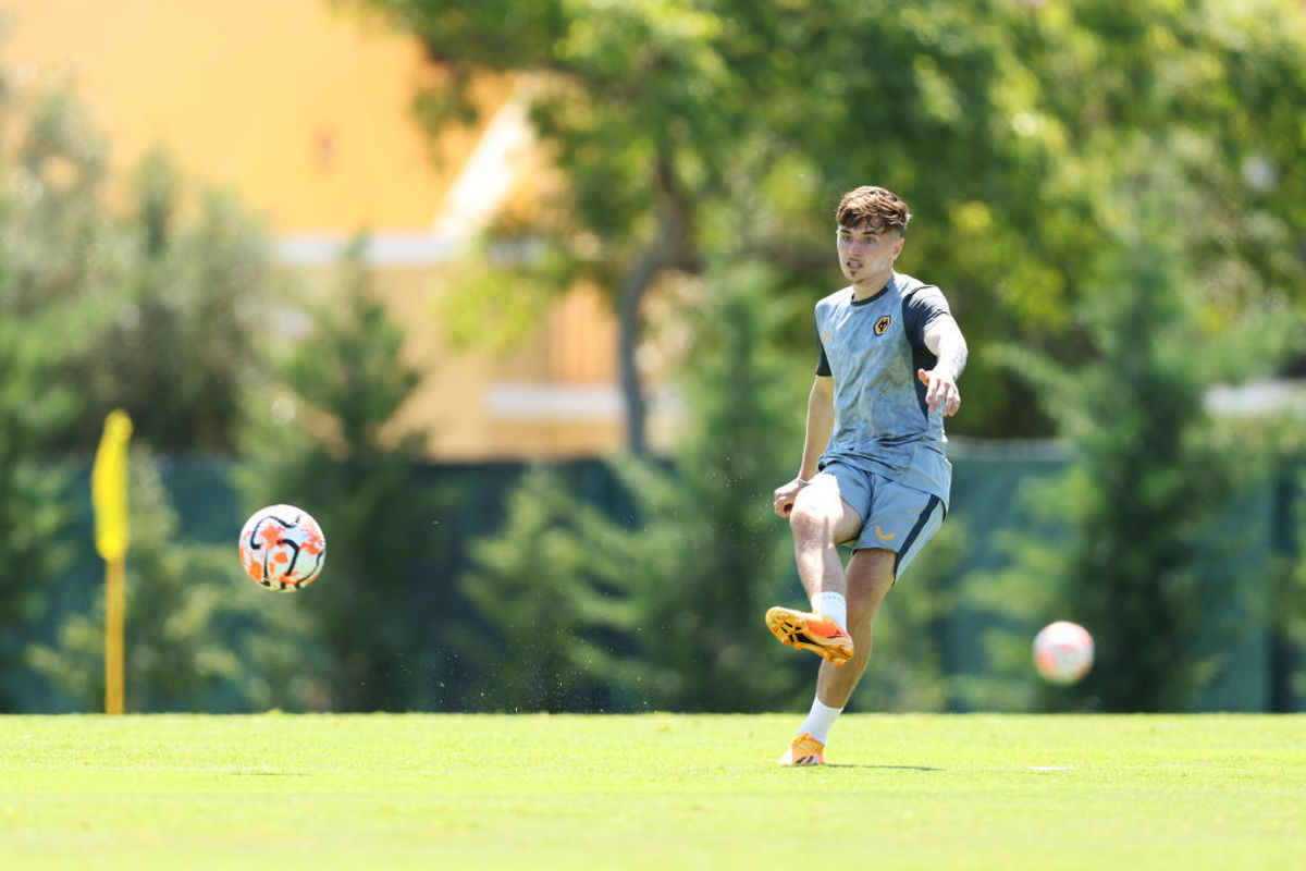 Wolves midfielder Luke Cundle joins Plymouth on loan | Express & Star