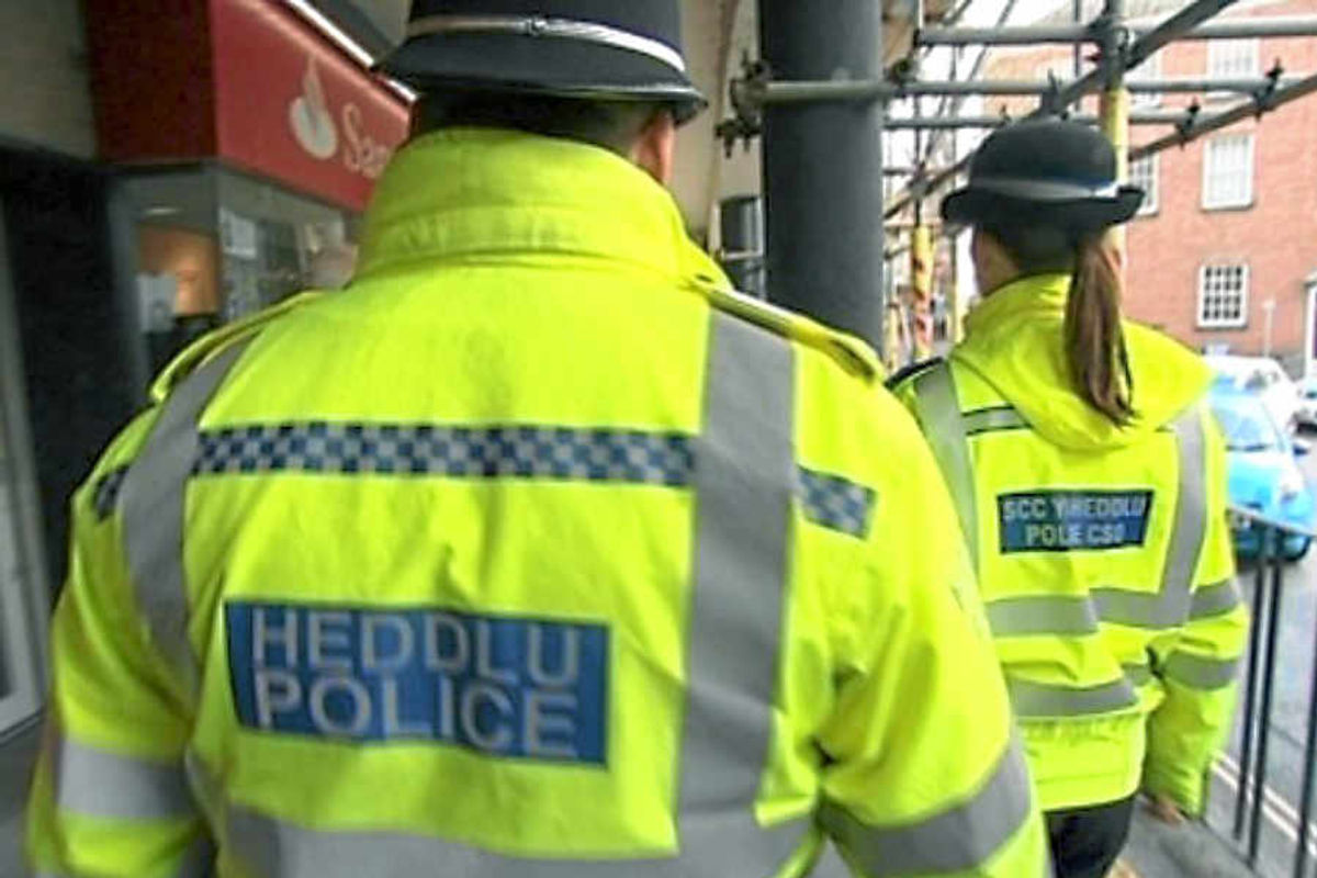 Welshpool police on alert as cats die after being targeted | Shropshire ...