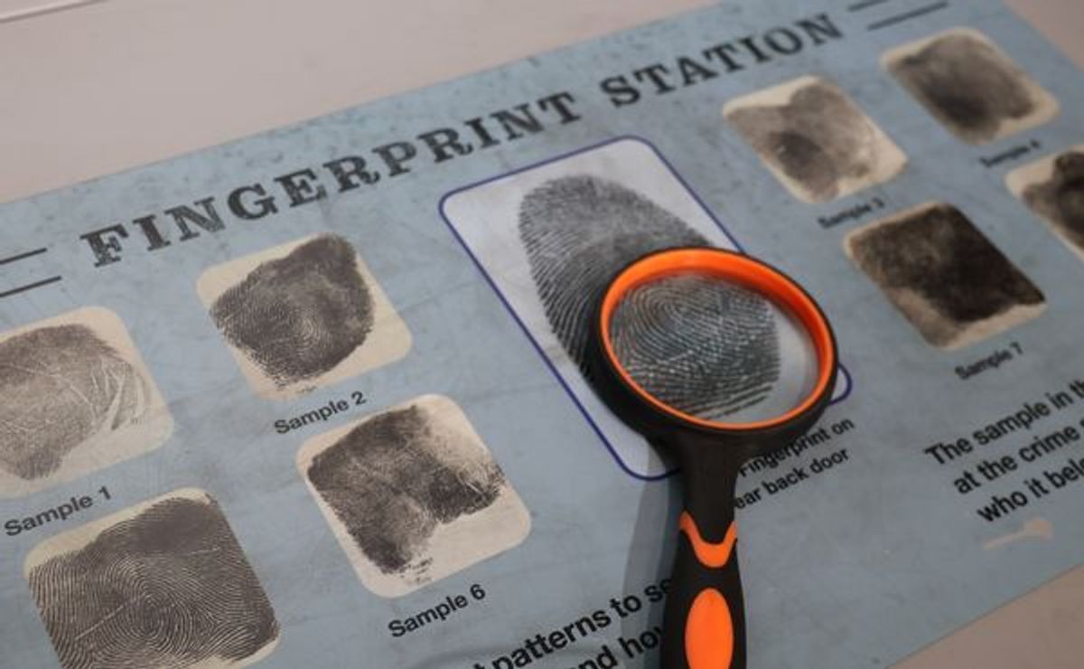 Use your forensic skills to track down the brazen Easter egg thief with ...