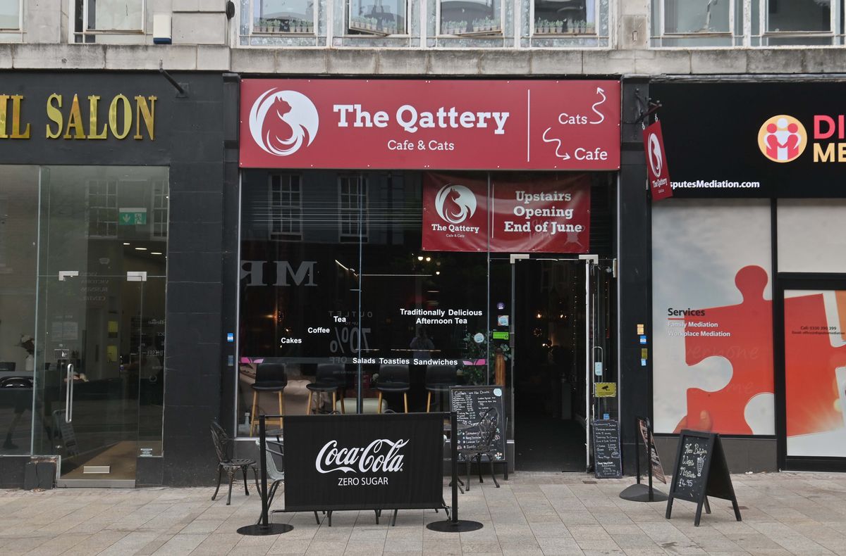 'I'm setting up Wolverhampton's first ever cat cafe after rescuing 19 ...