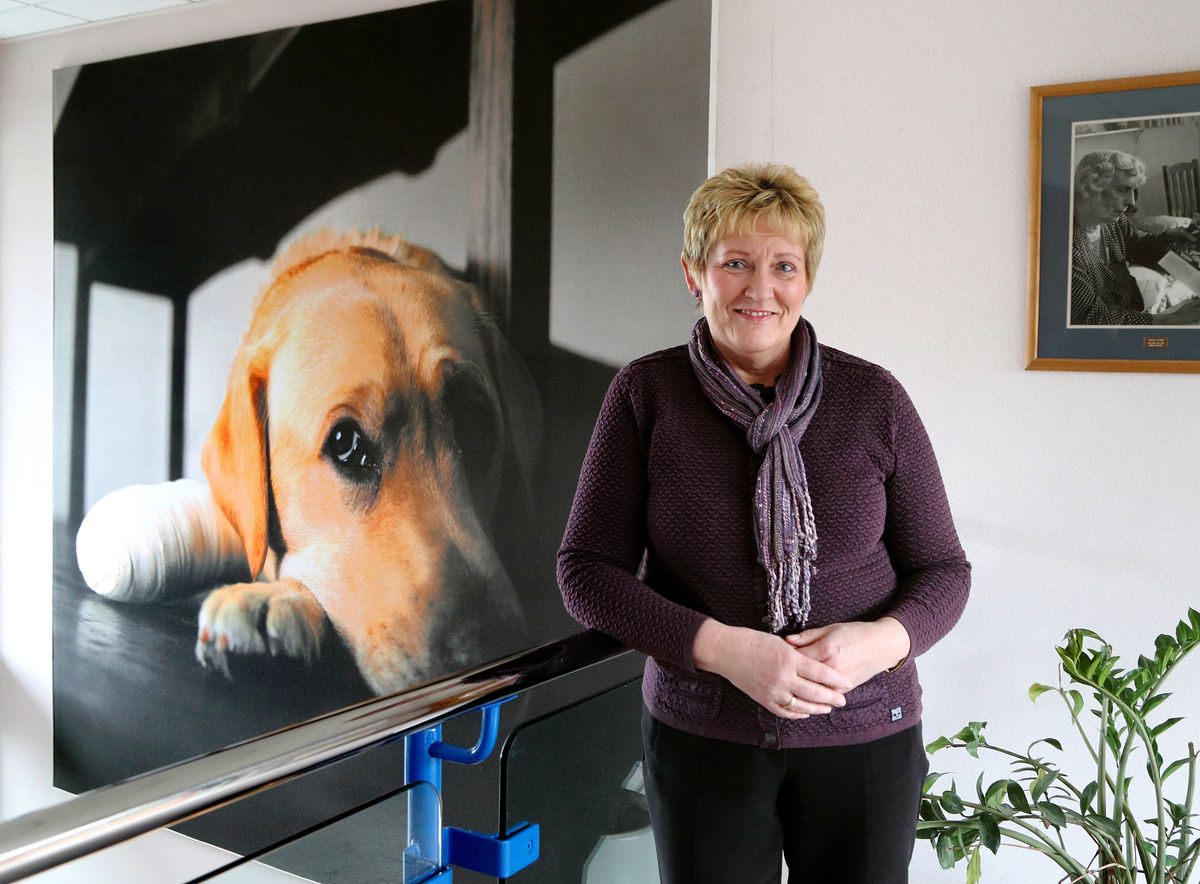 About 100 jobs at risk at Telford-based pet medical charity PDSA ...