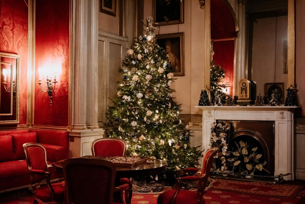 Step inside a winter wonderland at Attingham Park | Express & Star