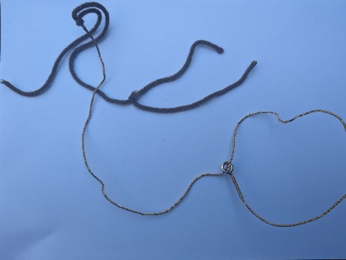 Appeal after six-year-old rescue cat dies trapped in deadly snare ...