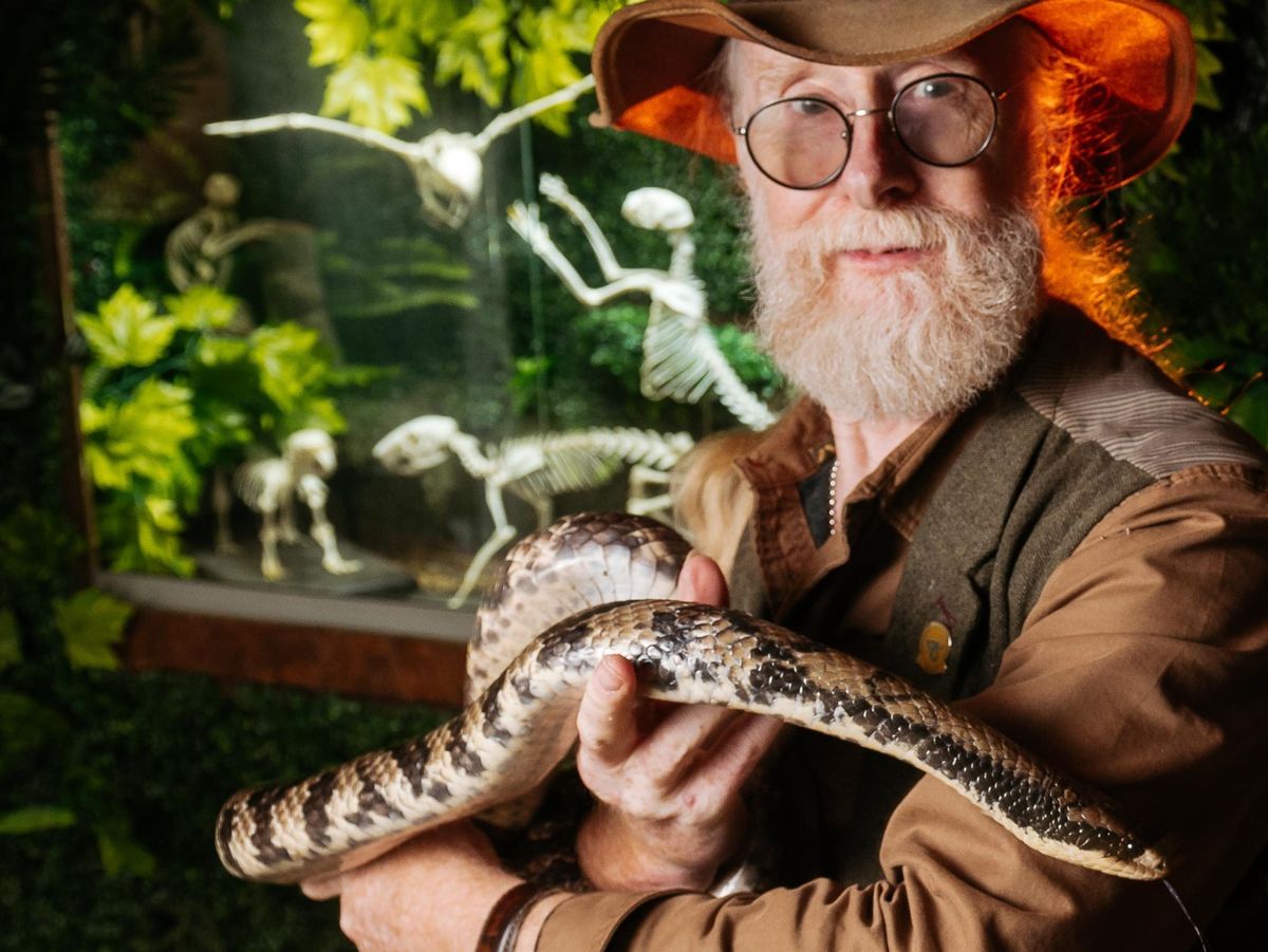 TV reptile expert Mark O'Shea returns to Telford zoo for Halloween ...