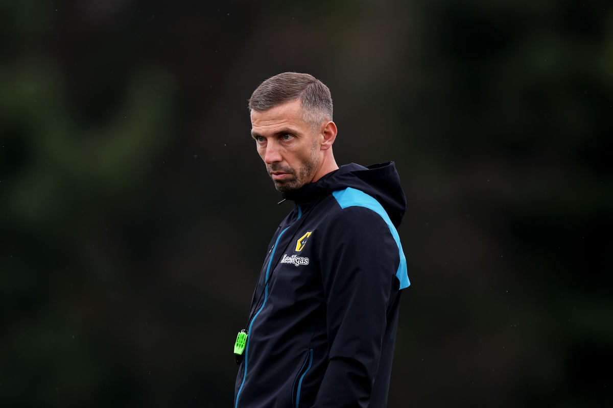 Wolves' pre-season to get under way | Express & Star