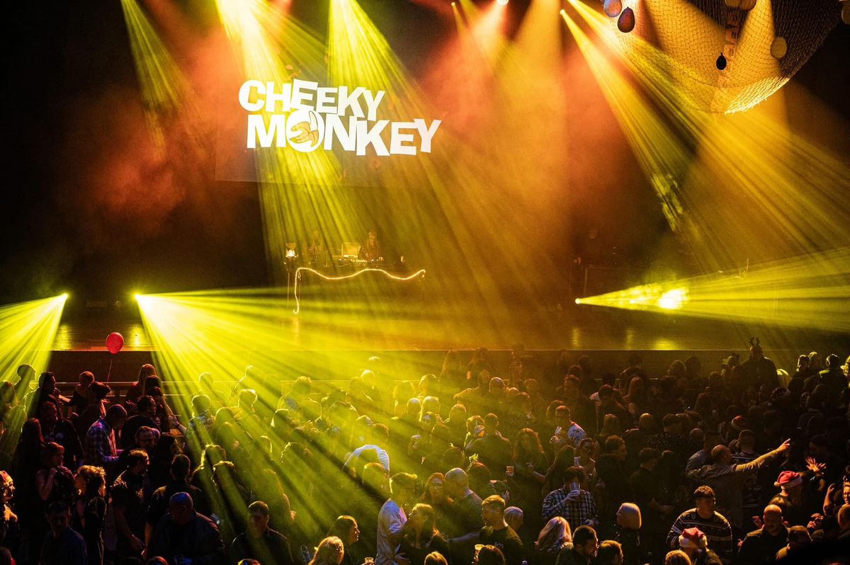 See no evil, hear no evil, after midnight as Cheeky Monkey creates ...