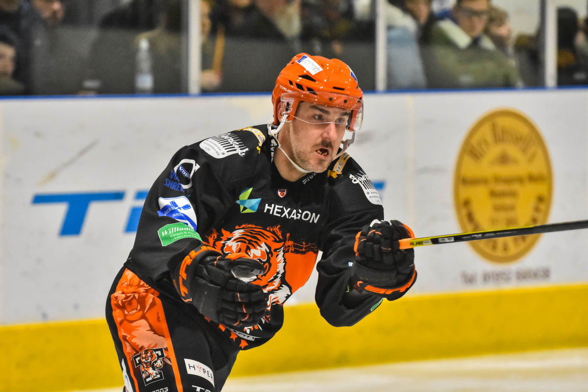 Tigers mauled by the Wildcats | Shropshire Star