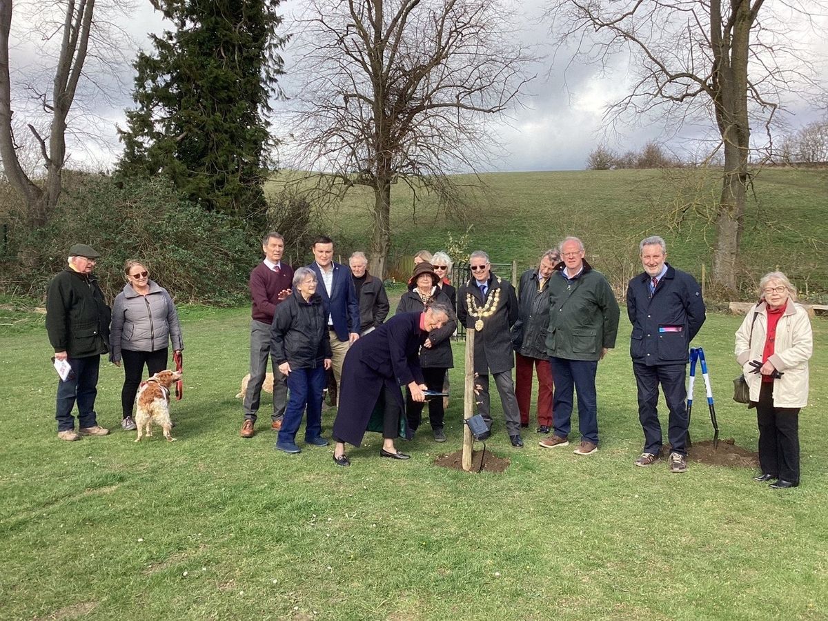 Deputy Lieutenant joins Olympian Society for tree planting | Shropshire ...